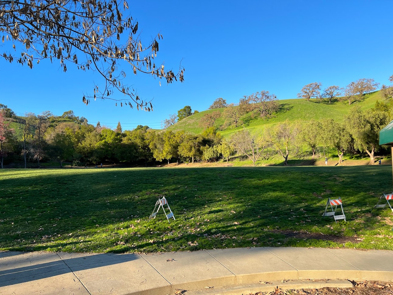 Golden Hills Park in Martinez is a Hidden Gem – Bay Area Telegraph