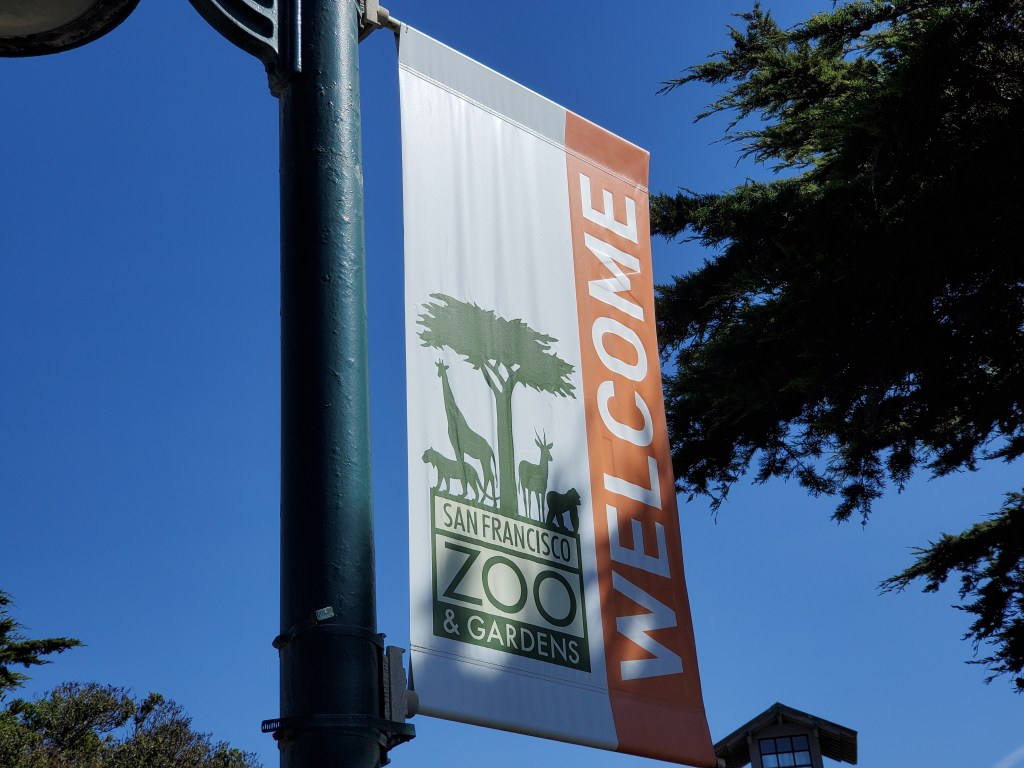 The Top Things at the San Francisco Zoo - Bay Area Telegraph