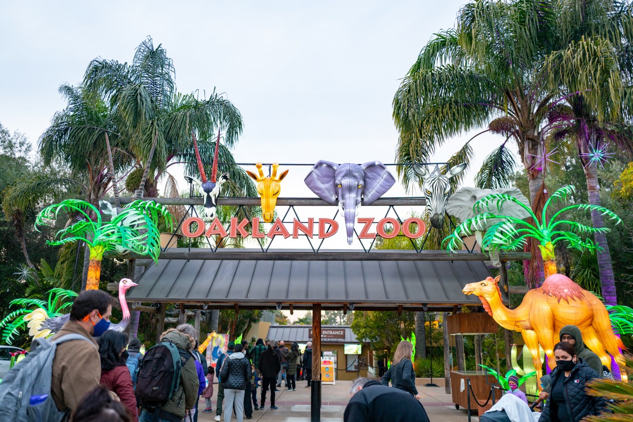 Inspiring Data Shows the Life-Saving Impact of the Oakland Zoo – Bay ...