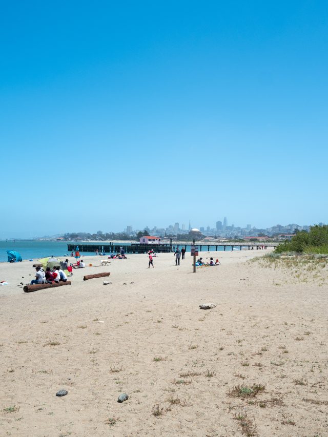 Surprising Facts About Crissy Field in San Francisco – Bay Area Telegraph