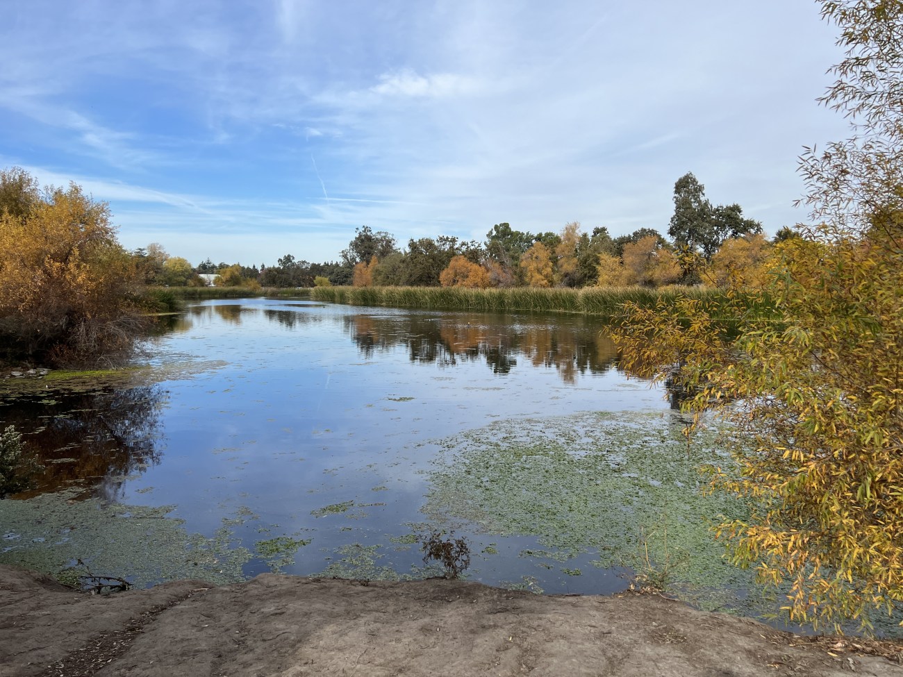 Spotlight on Heather Farm: The Jewel of the 925's Park System – Bay ...