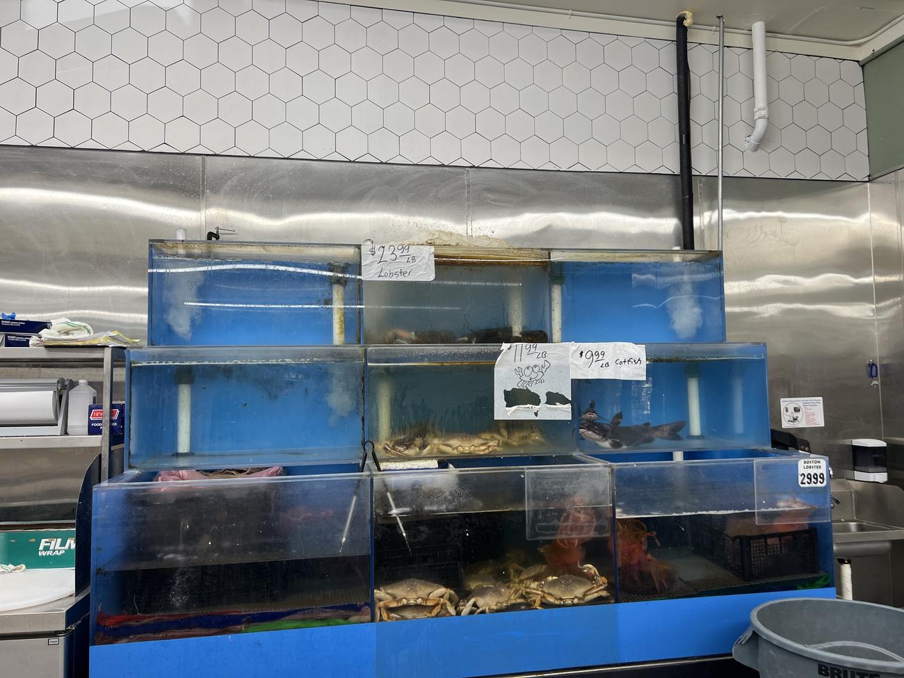 The Fish at Walnut Creek's New Market Are So Fresh, They're Still ...