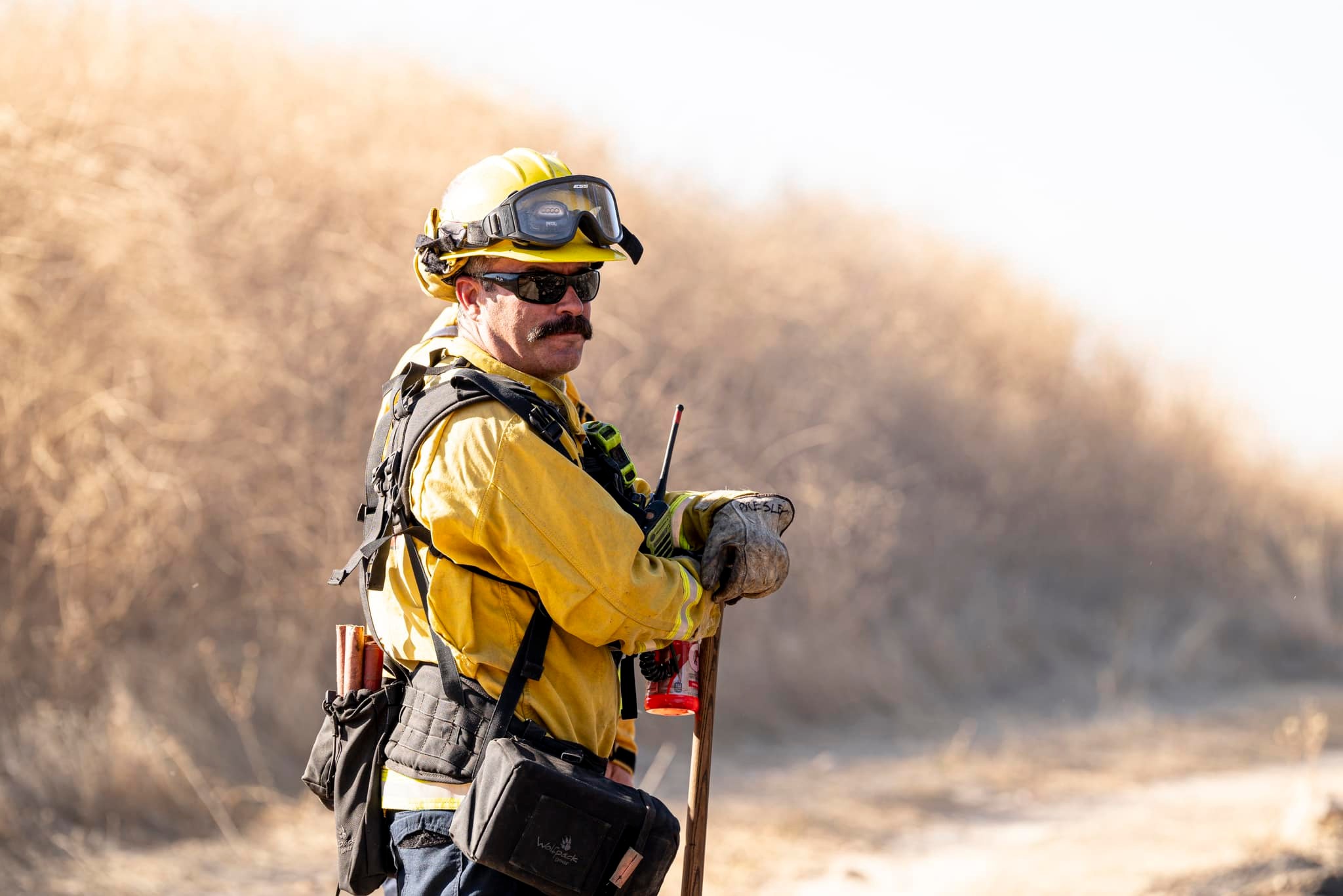 Firefighters Battle Wildfire in Concord's Lime Ridge – Bay Area Telegraph