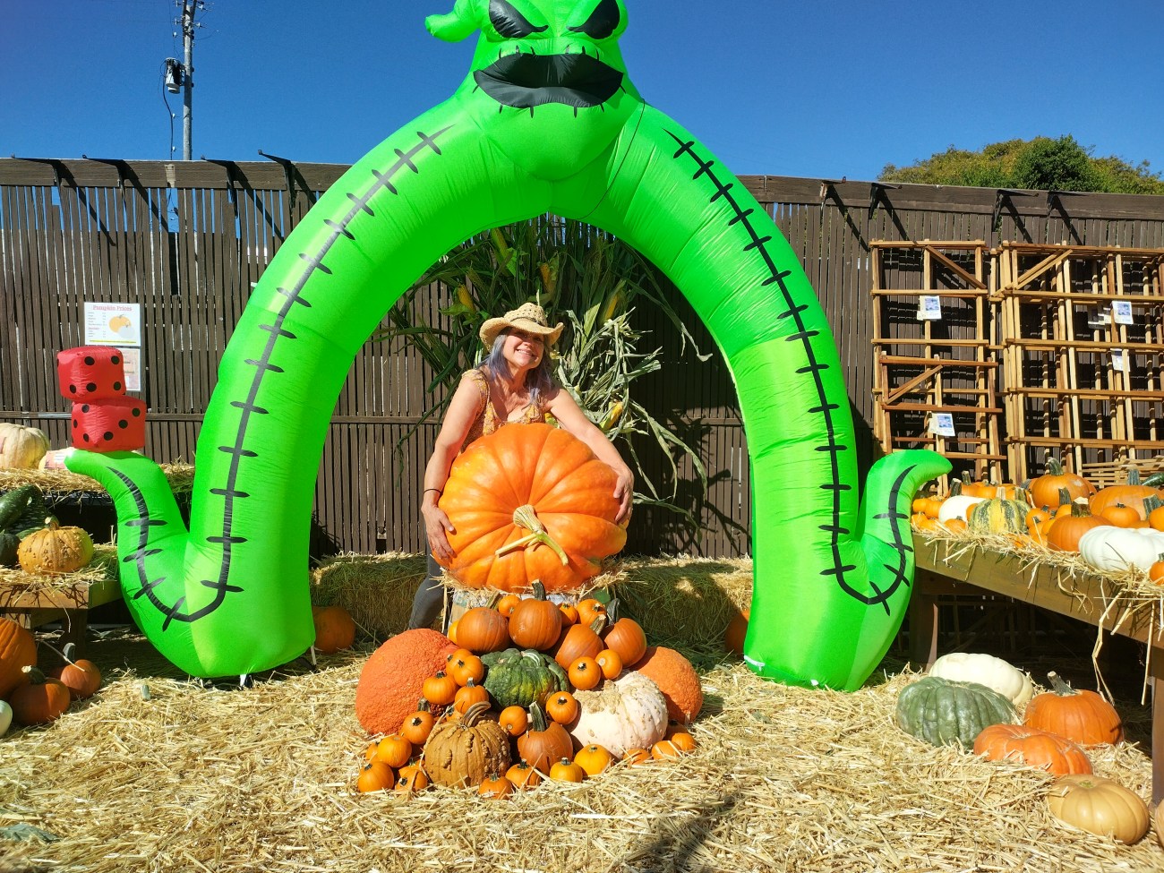 Westbrae Nursery’s Annual Pumpkin Patch Returns to Berkeley, Supporting ...
