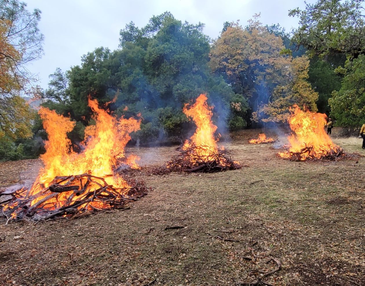 "Pile Burning" Is Happening Near Mount Diablo. How to Stay Safe. – Bay ...